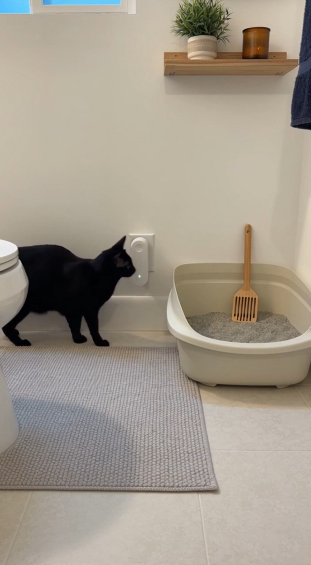 LitterGuard Pro – Whisko