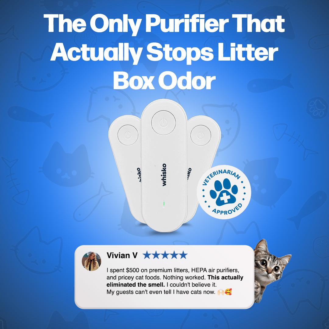 LitterGuard Pro – Whisko